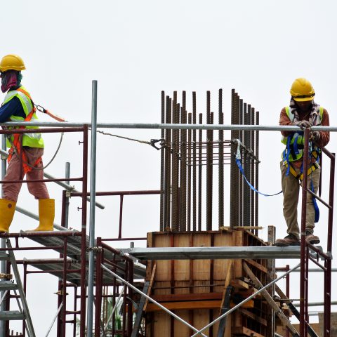 3 Rekomendasi Homogeneous Tile Paling Terkenal - Demix